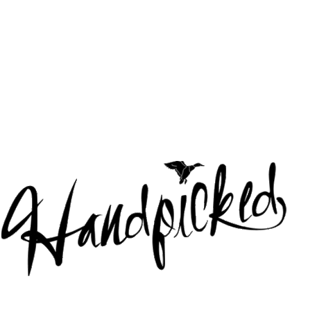 Handpicked Festival GIFs on GIPHY - Be Animated