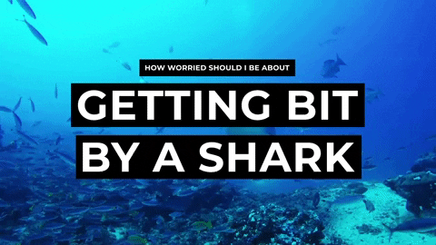 Get-bit GIFs - Get the best GIF on GIPHY