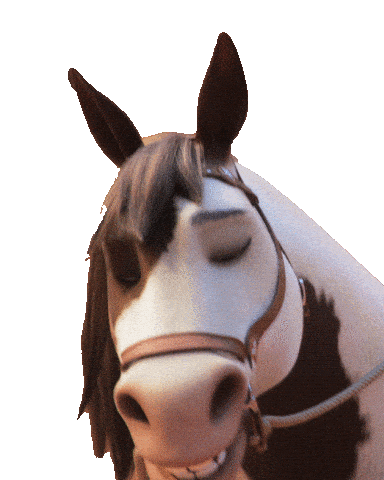 Maximus Tangled Smiling