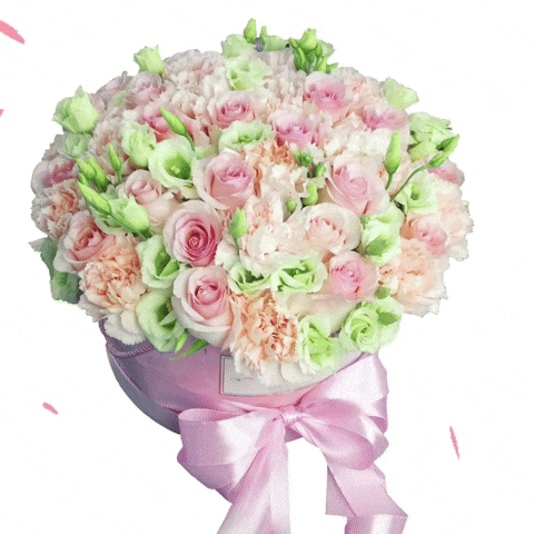 Flower-box GIFs - Get the best GIF on GIPHY