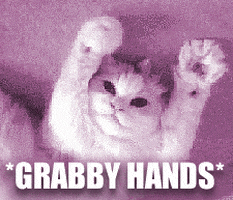 Grabby Hands GIFs - Get the best GIF on GIPHY
