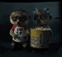 Meerkat Manor Gif