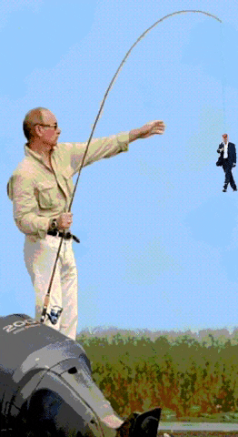 Fishing GIF - Find & Share on GIPHY