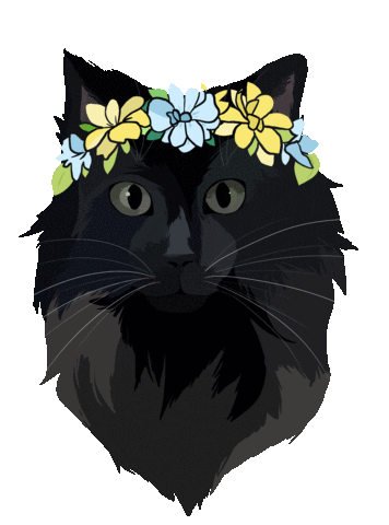 Cat Flower Gif | Best Flower Site