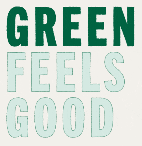 Starbucks Green GIFs - Get the best GIF on GIPHY