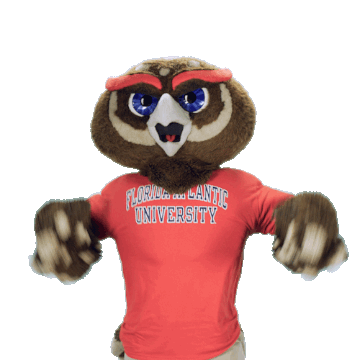 Fau Owlsley Sticker by Florida Atlantic University for iOS & Android ...