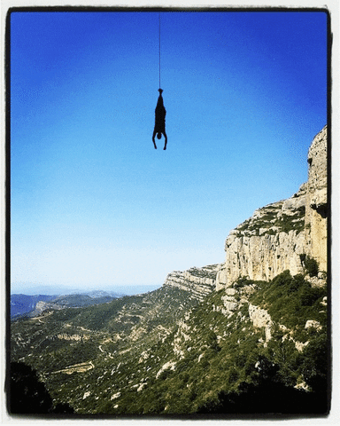 Spiderman Descend GIF by KletterRetter - Find & Share on GIPHY