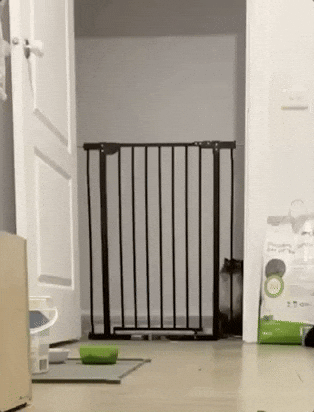 Jump Gate GIFs - Get the best GIF on GIPHY