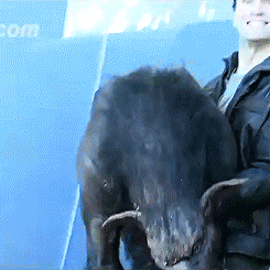 Mine Bh GIFs - Get the best GIF on GIPHY