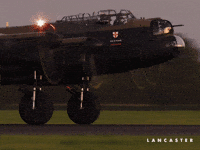 Airplane Ii Movie Gif