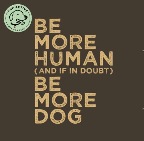 Mike Matheny GIFs - Get the best GIF on GIPHY