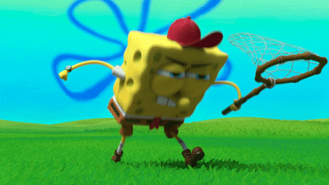 Kamp Koral GIF by SpongeBob SquarePants - Find & Share on GIPHY