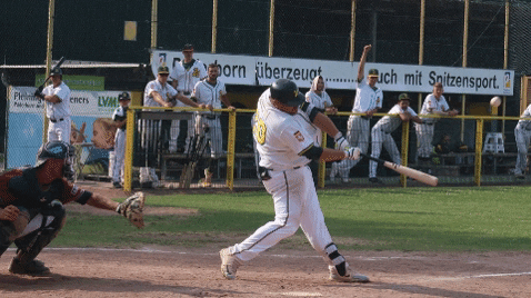 Paderborn GIF by Untouchables Paderborner Baseball Club e.V. - Find ...