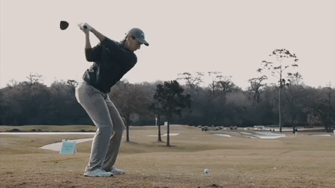 Hole In One Golf GIF by Rice Owls - Find & Share on GIPHY