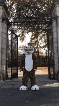 Princeton Tiger Mascot