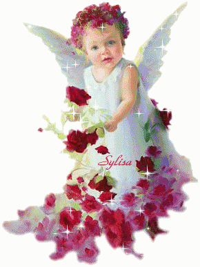 Angel Flowers GIFs - Get the best GIF on GIPHY