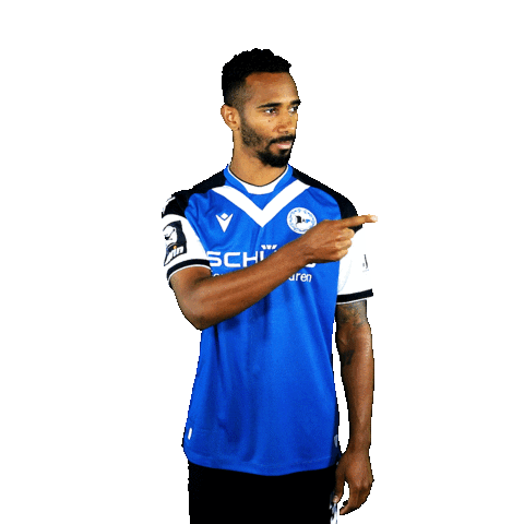 DSC Arminia Bielefeld GIFs on GIPHY - Be Animated