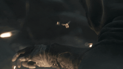 Dark Souls Trailer GIF by BANDAI NAMCO - Find & Share on GIPHY