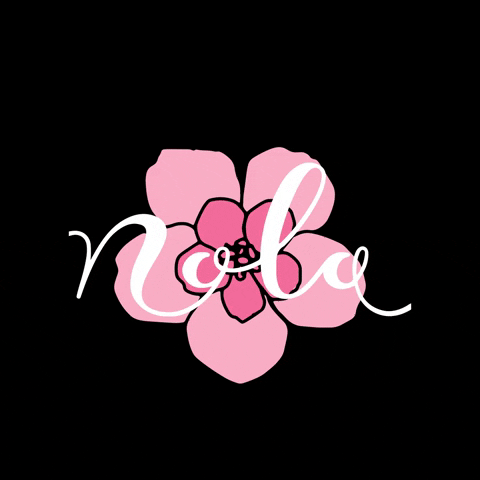 Blom GIFs - Get the best GIF on GIPHY