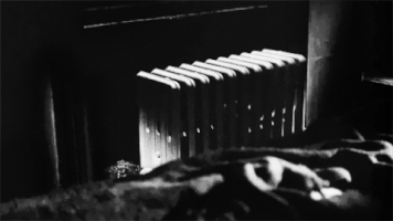 Lady In The Radiator GIFs - Find & Share on GIPHY