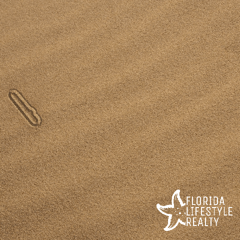 Florida-waves GIFs - Get the best GIF on GIPHY