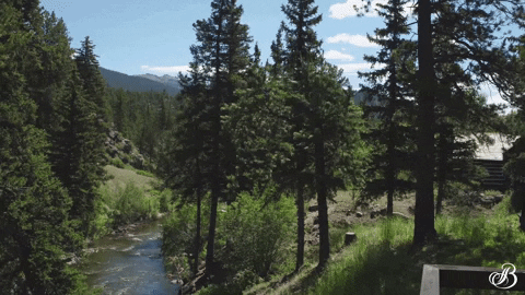 Colorado Springs Travel GIF by The Broadmoor - Find & Share on GIPHY