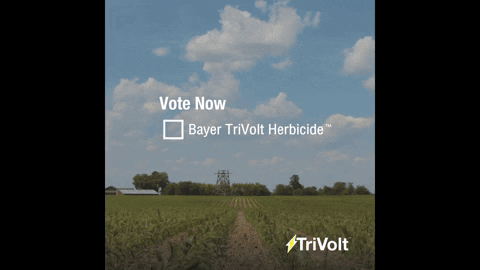 Bayer Crop Protection GIFs on GIPHY - Be Animated