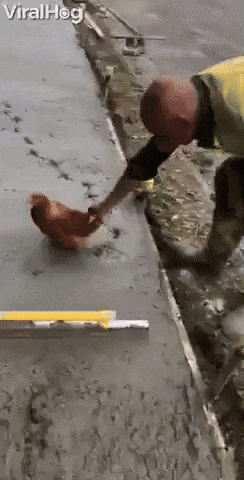Agricultural Soil In Cement Industry GIFs - Get the best GIF on GIPHY