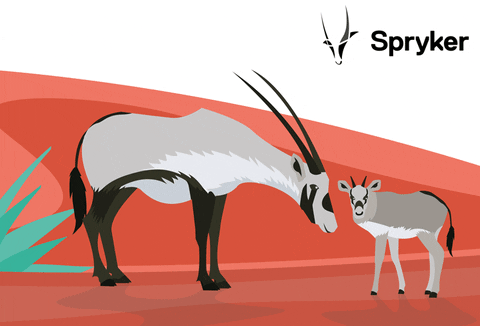 Antelope GIFs - Get the best GIF on GIPHY