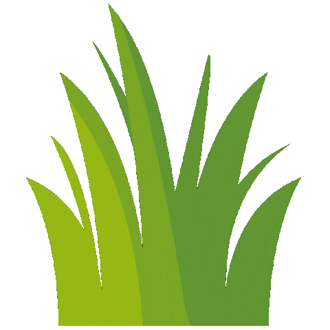 Plant Grass Sticker by Kew Gardens for iOS & Android | GIPHY