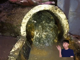 Blocked-drain GIFs - Get the best GIF on GIPHY