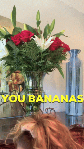 Women Moving GIFs - Get the best GIF on GIPHY