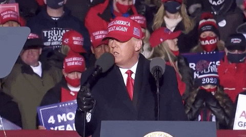 Election Eve GIFs on GIPHY - Be Animated