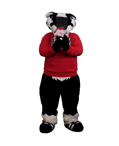 Boomer Gifs GIFs on GIPHY - Be Animated