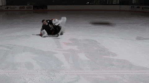 Hockey-saves GIFs - Get the best GIF on GIPHY