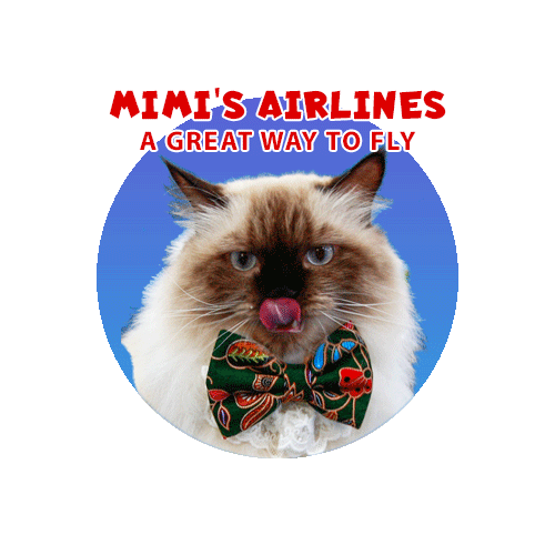 Mimi Sticker for iOS & Android | GIPHY