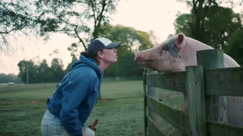 Famed Animals GIFs - Get the best GIF on GIPHY