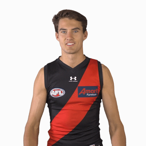 Football Celebration GIF by Essendon FC - Find & Share on GIPHY