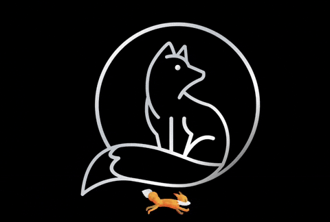 Fox Cabinets GIFs on GIPHY - Be Animated