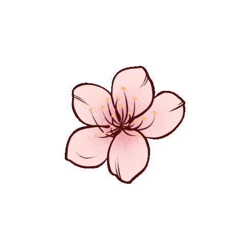 Pink Flower Sticker for iOS & Android | GIPHY