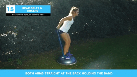 Rear Delts GIFs - Get the best GIF on GIPHY