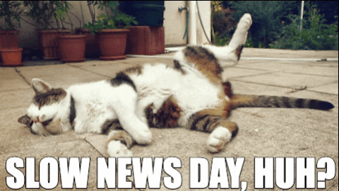 Slow-day GIFs - Get the best GIF on GIPHY