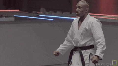 Karate GIF by karatecombat - Find & Share on GIPHY