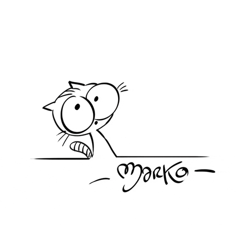 Chat Merci GIFs - Get the best GIF on GIPHY