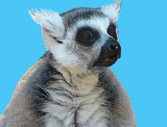 Omaiga GIFs - Get the best GIF on GIPHY