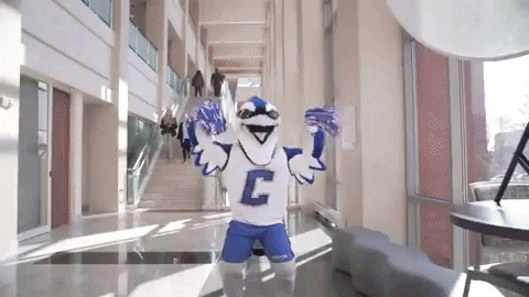 Excited Billy Bluejay GIF by Creighton University - Find & Share on GIPHY