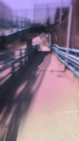 Walkway GIFs - Get the best GIF on GIPHY