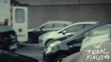 The Animal Kingdom GIFs on GIPHY - Be Animated