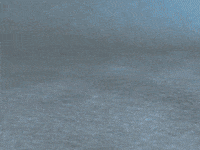 Cake-splat GIFs - Get the best GIF on GIPHY