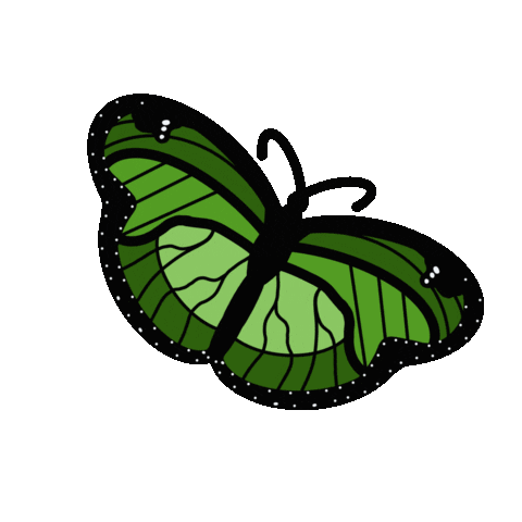 Green Butterfly Gif